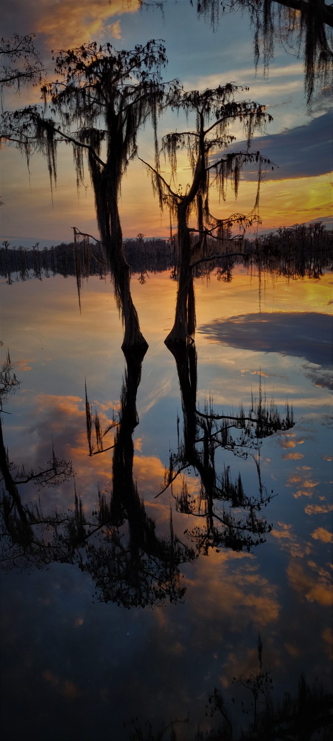 Reflections - Canvas Pontiac