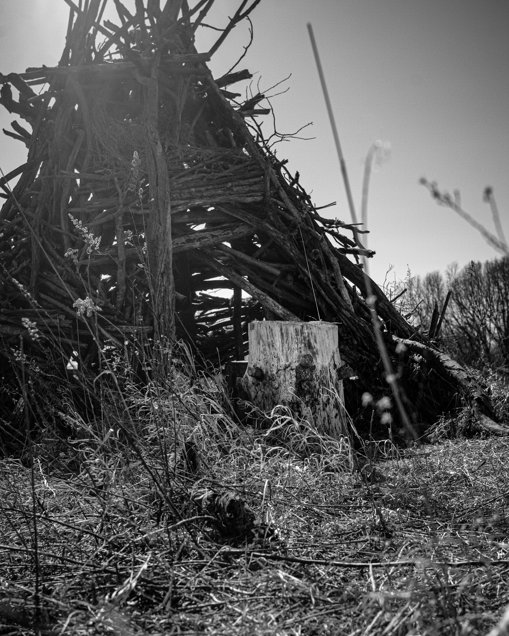 Shelter Canvas Pontiac